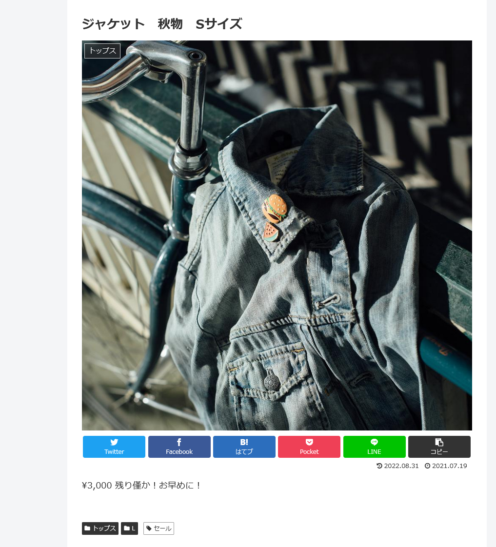 【Cocoon】カスタム投稿タイプのタクソノミーを表示 | SOHO MIND